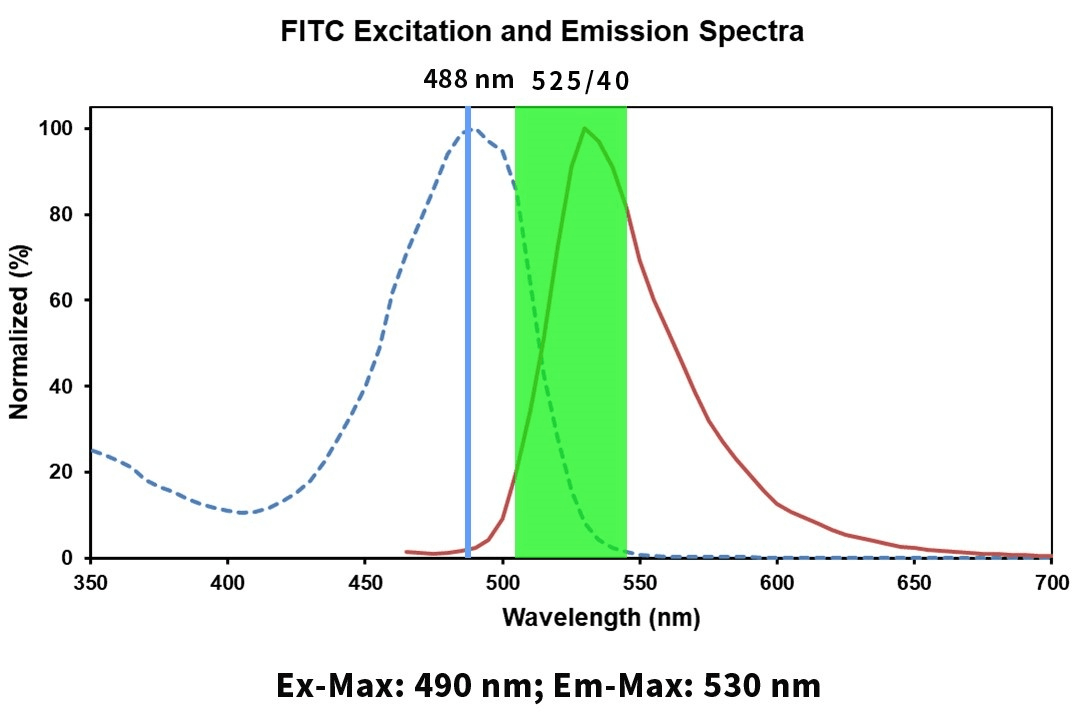 How to Select the Appropriate Detection Channel Through the Spectrogram?